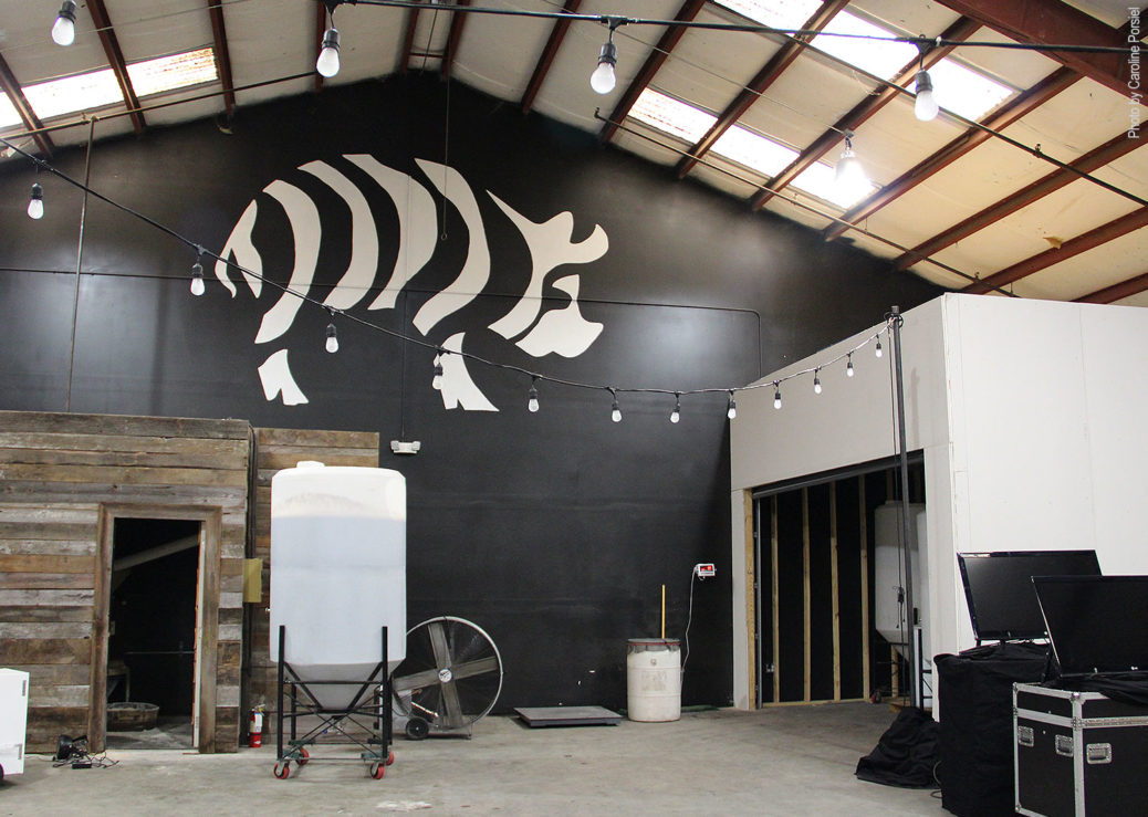 The Striped Pig - Distillery Directory & Distillery Map